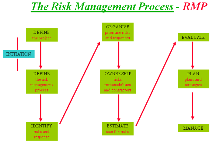 Risk management. The Risk Management Process.